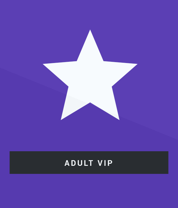 Adult VIP – Assistive Technology Accelerator